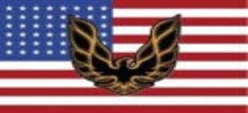 Pontiac Firebird USA Flag – Ajay's Ford V8 Parts & Memorabilia